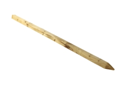 Tree Stake 50mm x 50mm x 1.5m PTD - Treeline Scotland
